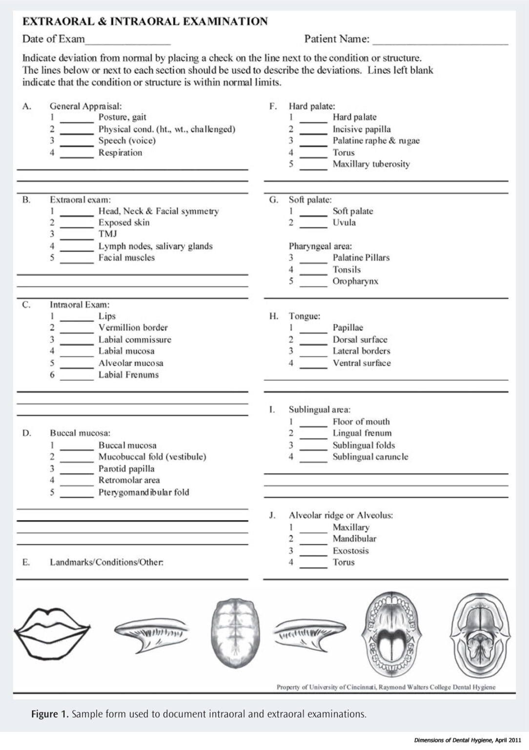 Implant Chart Documentation Template