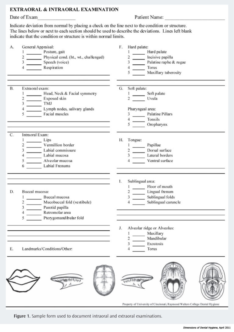 Implant Chart Documentation Template