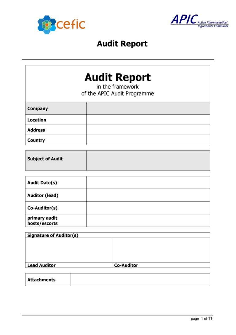 Internal Audit Feedback Survey Template Sample