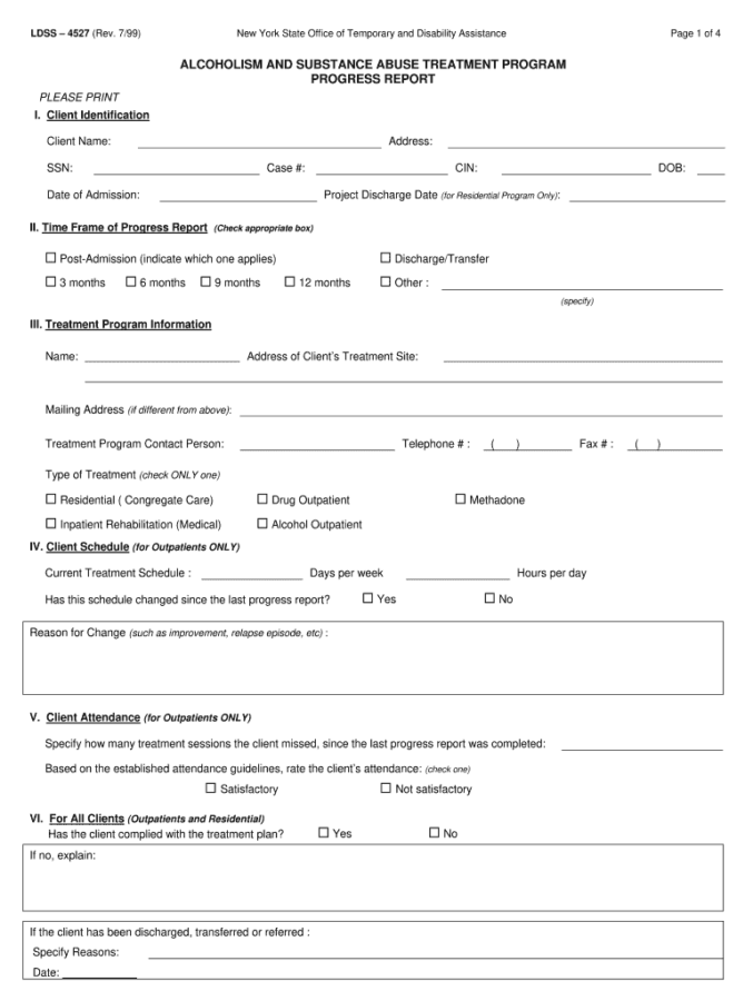 Documentation In Counseling Records Template