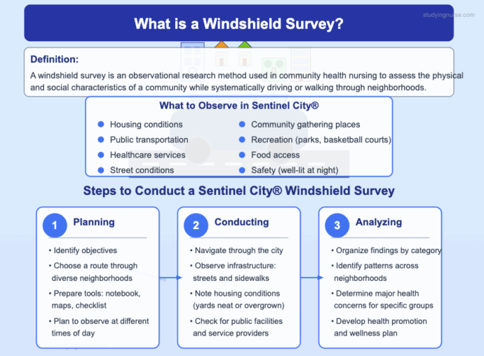 Community Assessment Windshield Survey Template